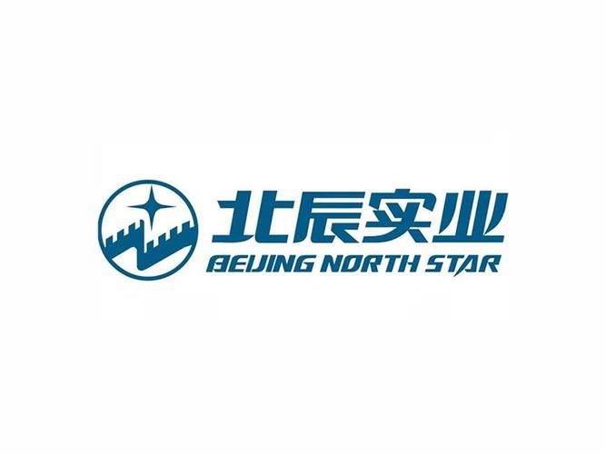 北辰集团创始人图标