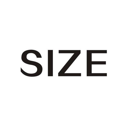 font size