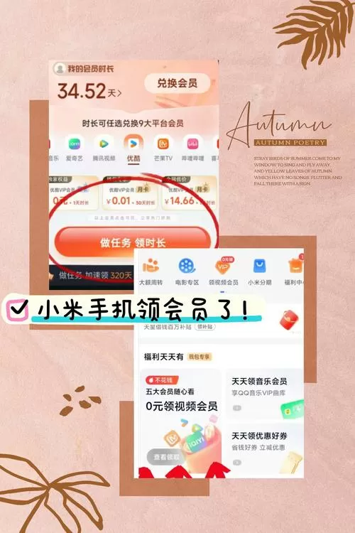 小米wps会员怎么领取图标