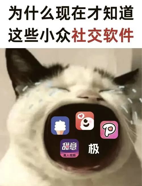 套路字母圈亚文化图标