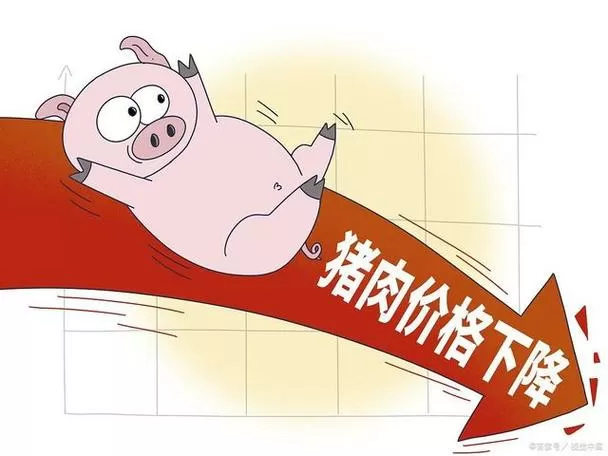 猪肉摊一天赚多少钱截图