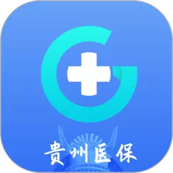 贵州省医保服务平台图标