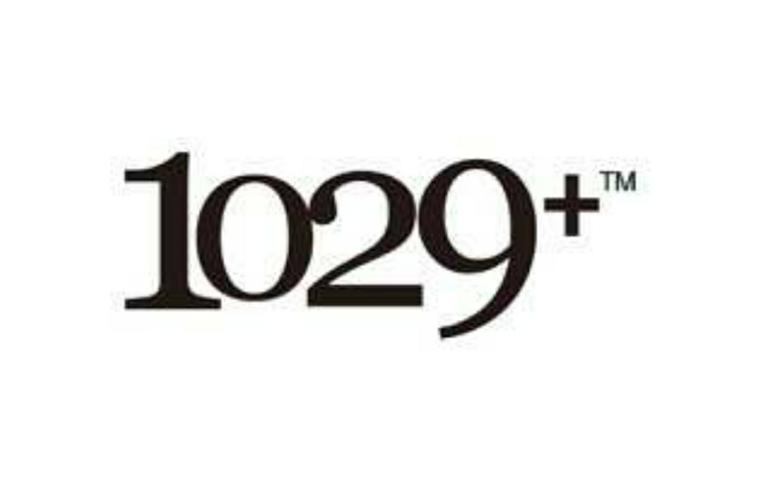 1029软件