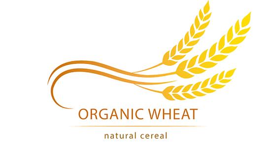 麦芽最新版本截图