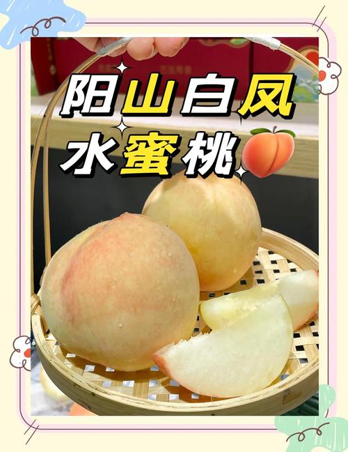 水蜜桃免费观看电视剧图标