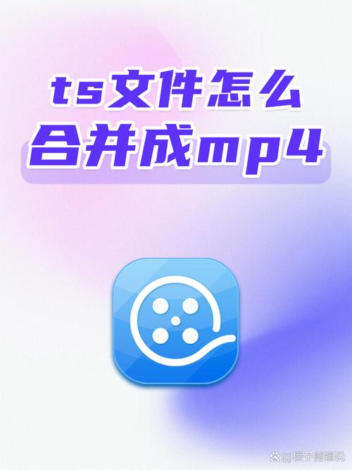 ts圈子软件