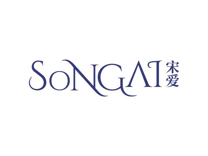 小宋爱聊天app官方截图