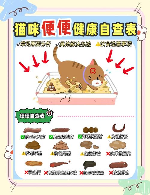小喵粑粑