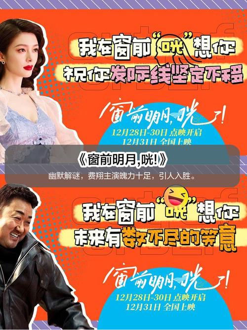 探探2025最新官方版