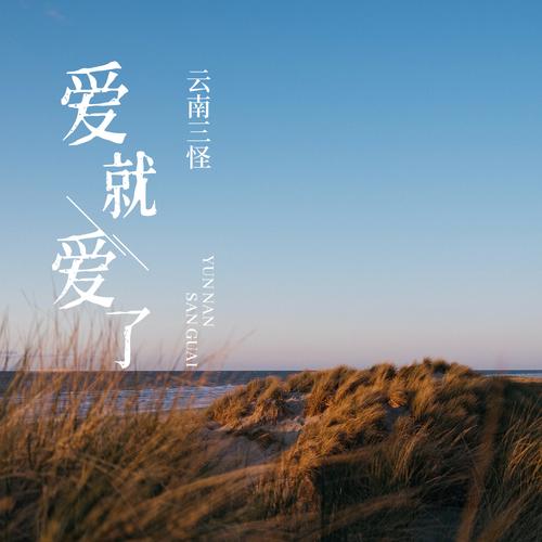 歌曲《爱就爱了》图标