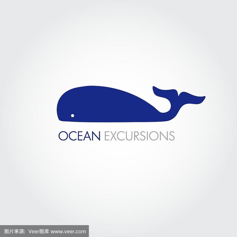 大鲸鱼推特照片截图