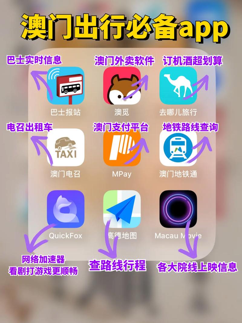 澳门免费直播app图标