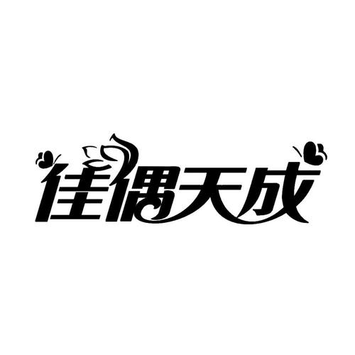 佳偶天成txt百度云盘图标