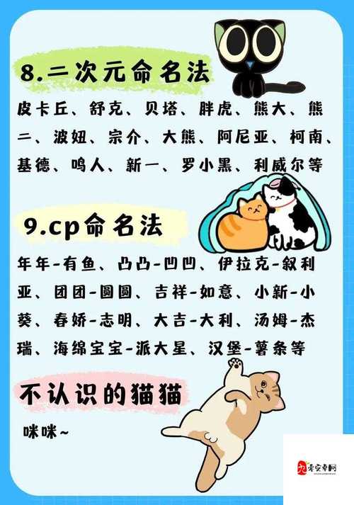 猫咪www最新地域网名怎么取贴吧截图