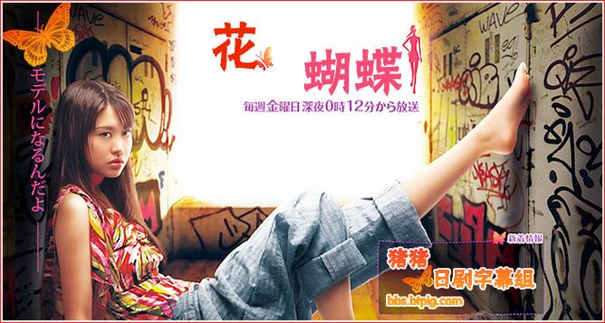 花蝴蝶7免费高清电视剧图标