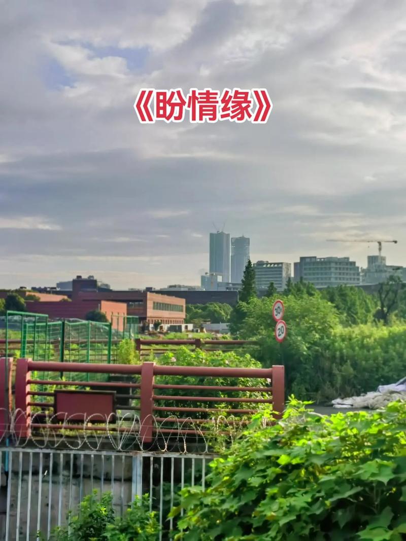 盼情缘图标