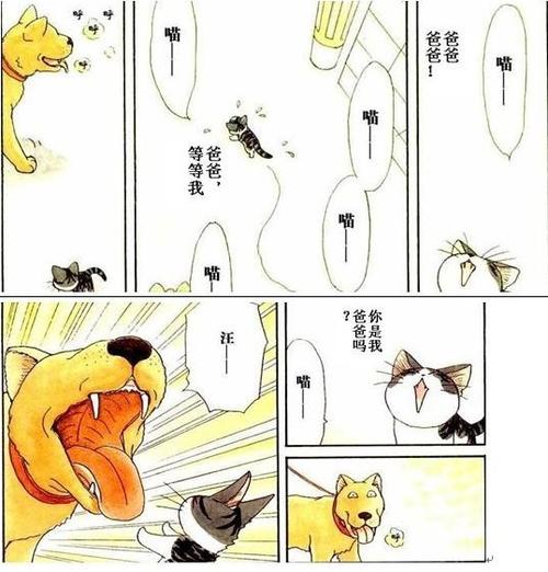 奇奇漫画官方正版入口