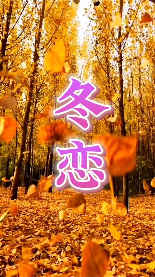 歌曲冬恋伴奏带图标