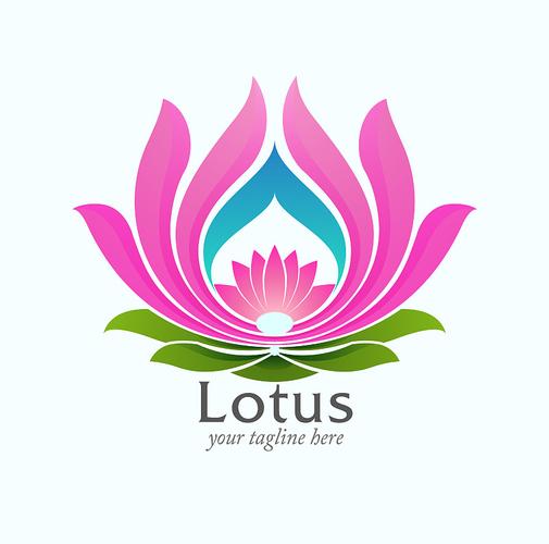 荷花直播app图标