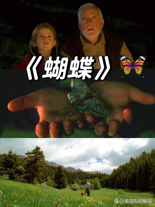 蝴蝶电影免费完整版图标