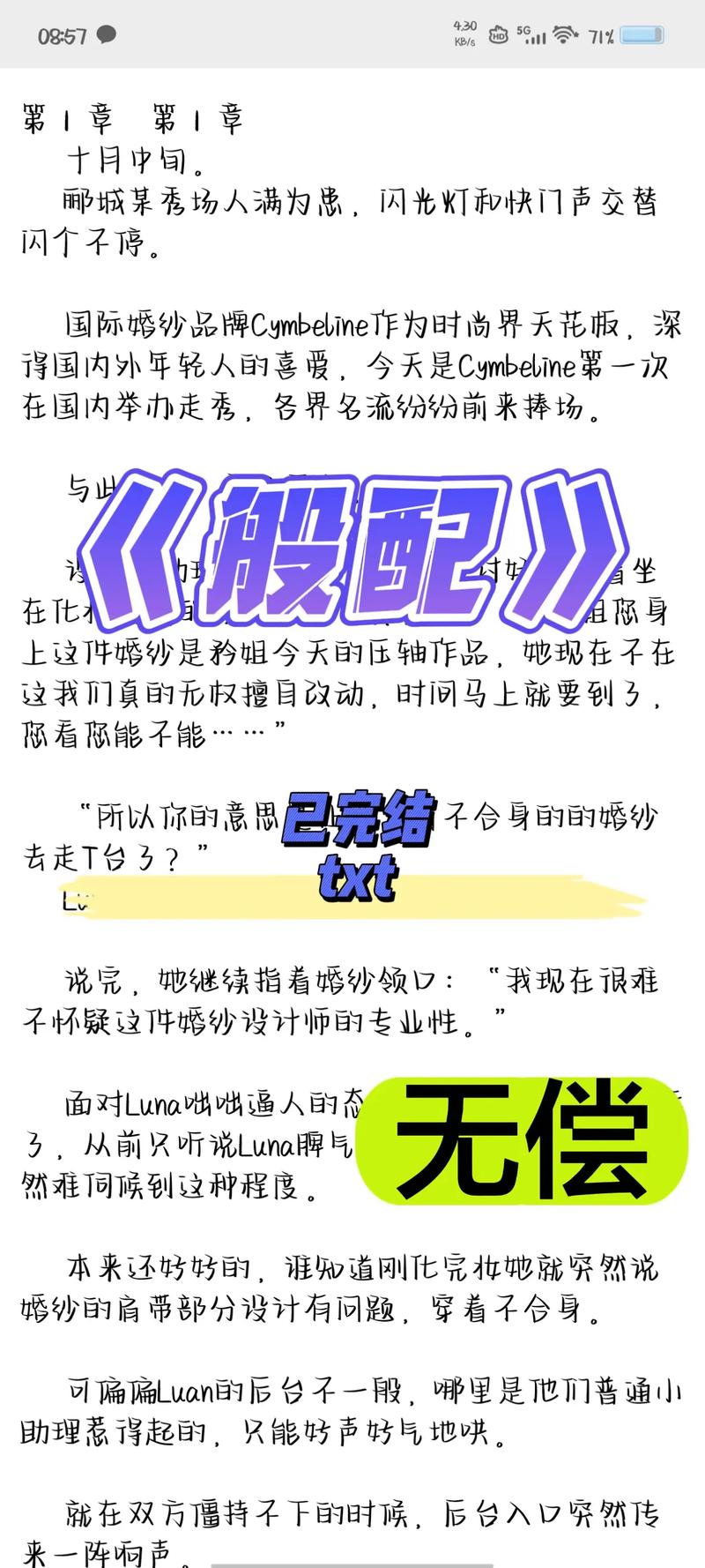 般配小说谈矜TXT图标