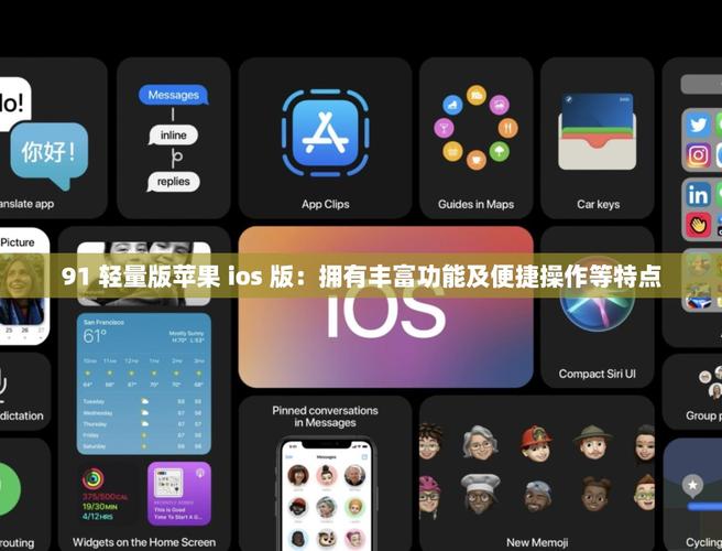 9.1轻量版ios图标