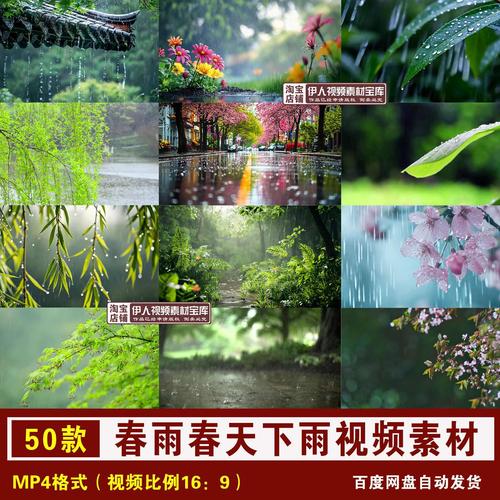 春雨视频在线观看高清版
