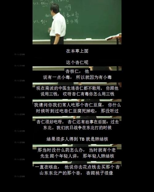 杏仁279.t