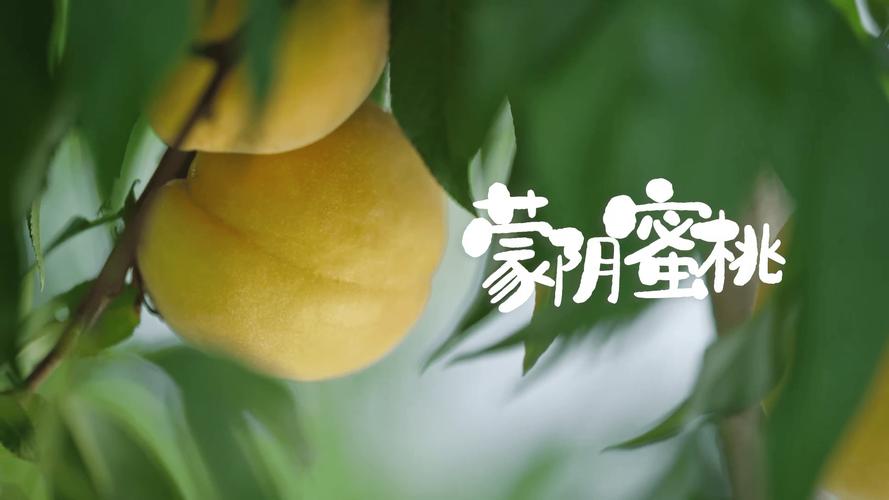 33d蜜桃成图标