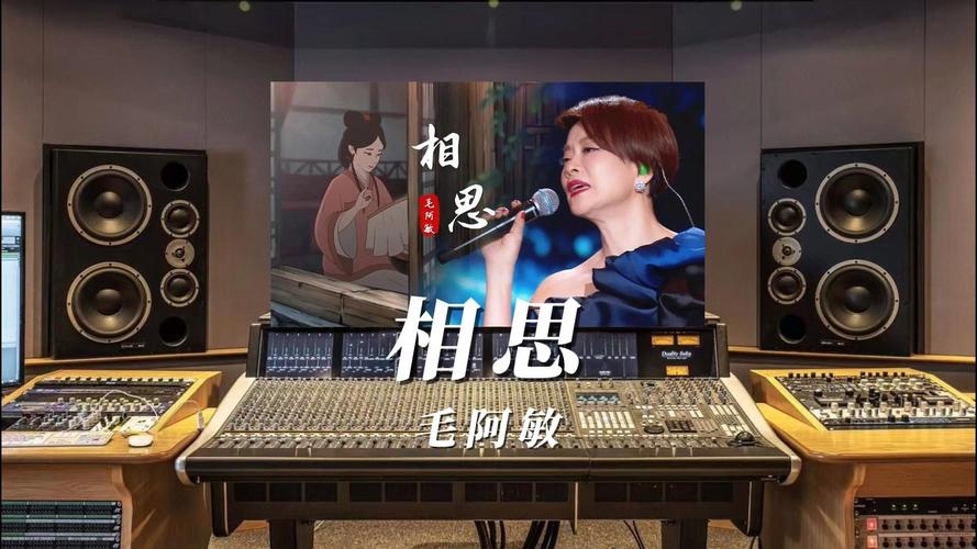 毛阿敏《相思》