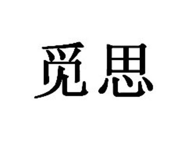觅思文档截图