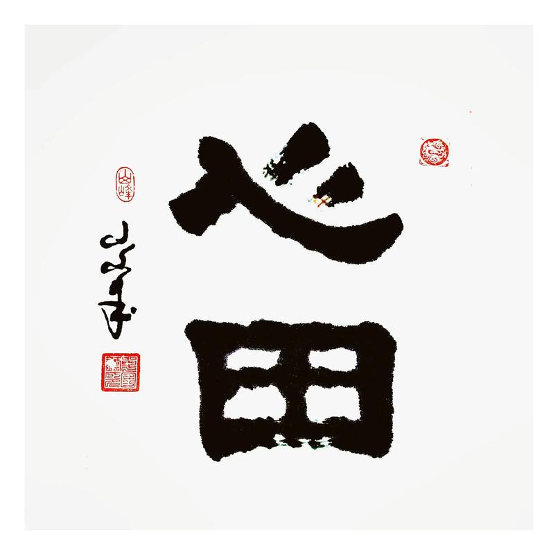 心田官方正版免费安装图标