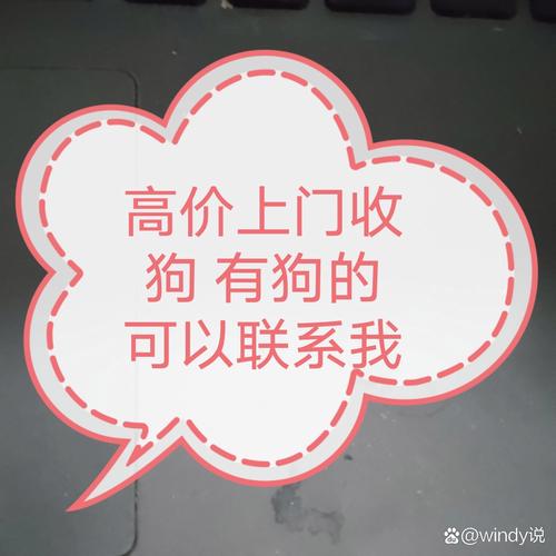 女王收狗的联系方式和联系电话