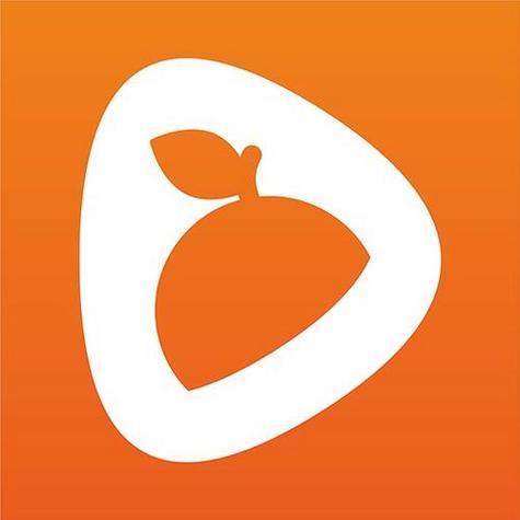 橘子vr播放器图标