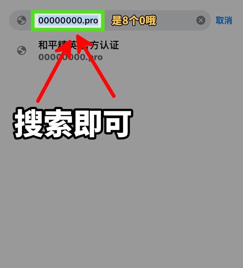 大白兔vip版3.0画质助手三角洲截图