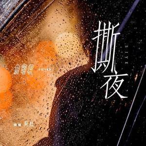 撕夜mp3歌曲图标