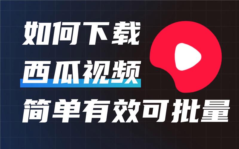 西瓜视频3.8.2版本