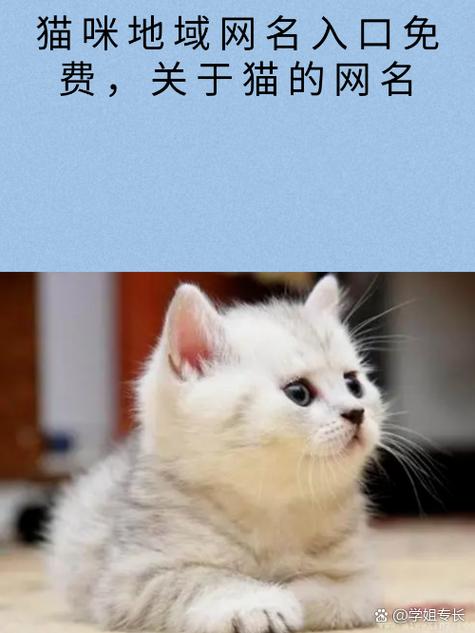 猫咪成人最新地域网名查询图标