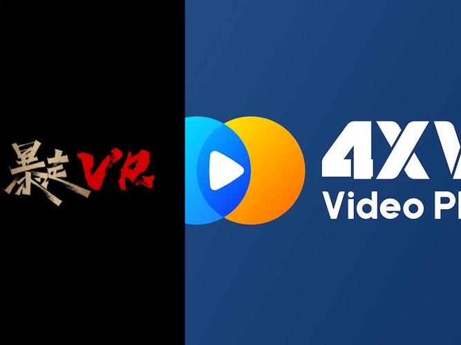vr播放器哪一款最好用截图