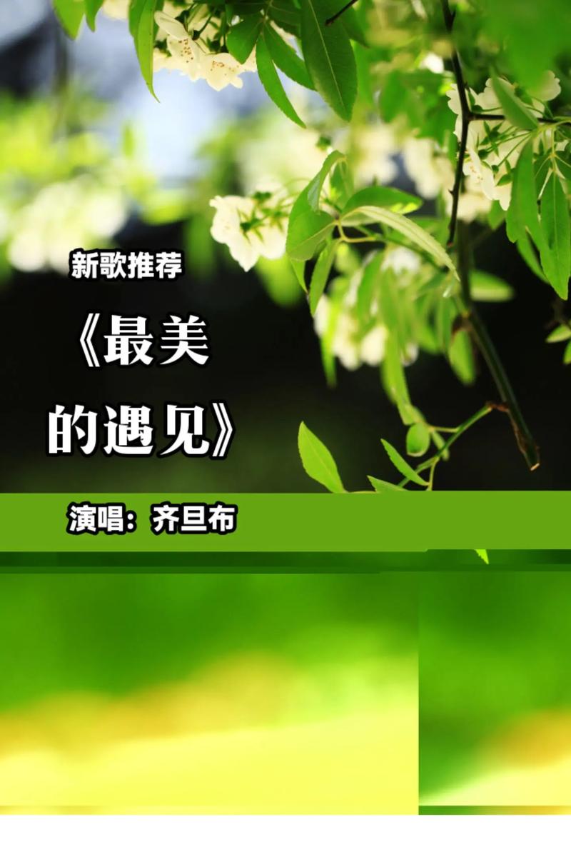 最美的遇见mp3截图