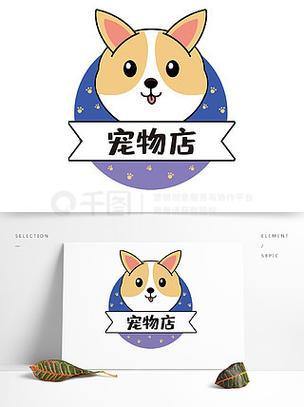宠Ai截图