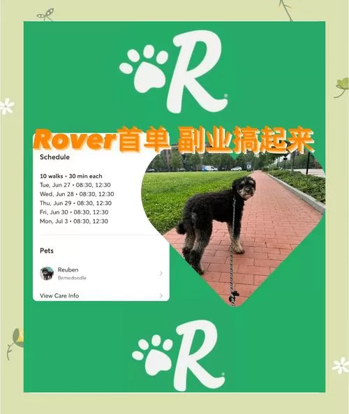 遛狗赚钱怎么玩