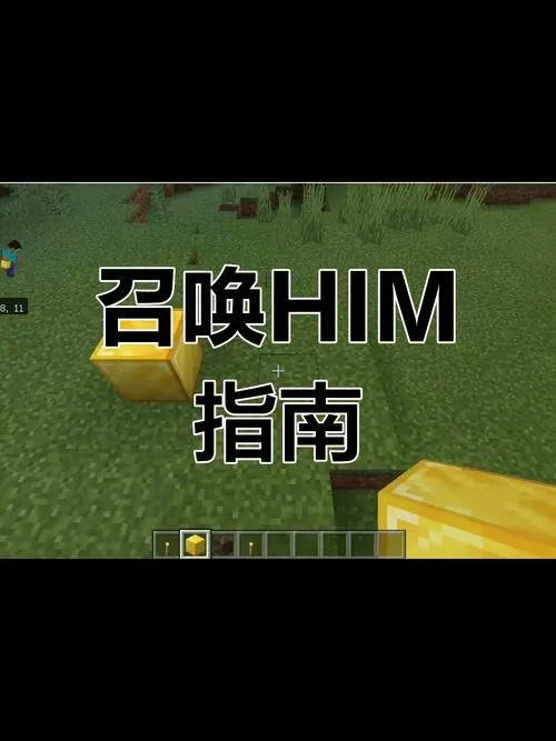 我的世界him怎么召唤图标