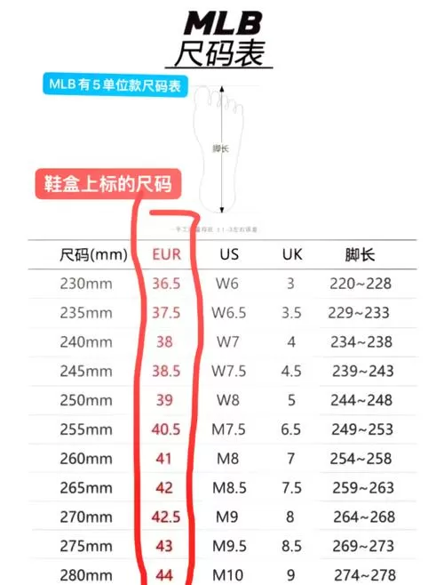 36码鞋子是多大尺码图标