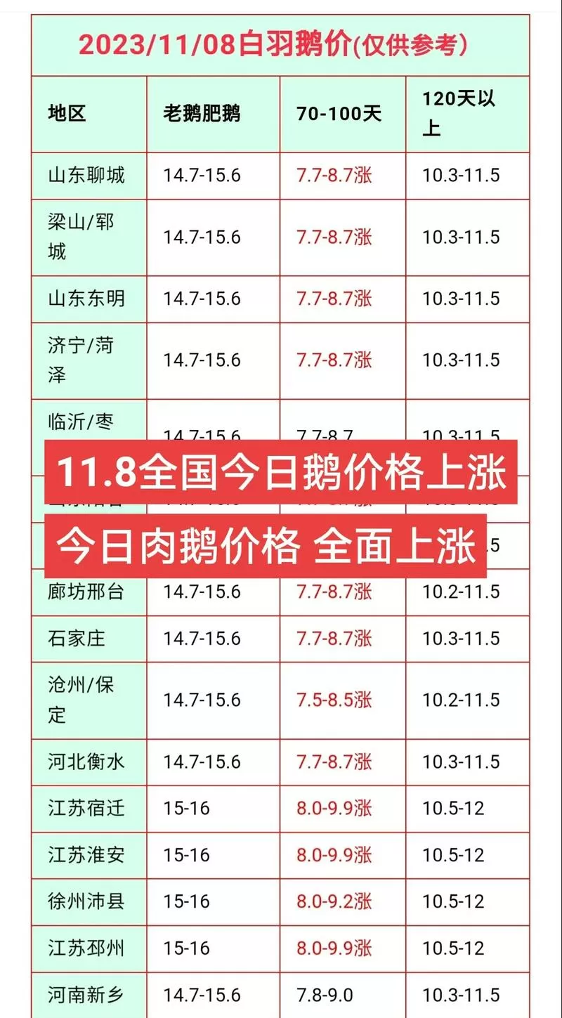 鹅价天天报价2024.2.1图标