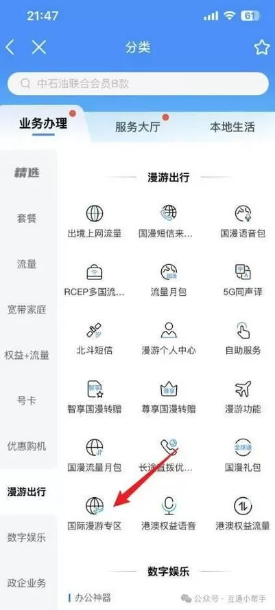 中国移动在国外怎么开通国际漫游图标