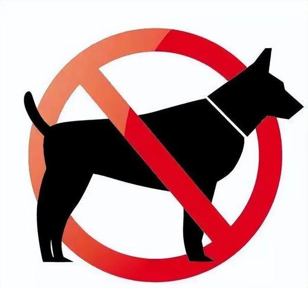 柴犬三种人不宜养