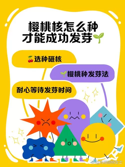 樱桃种子怎么发芽