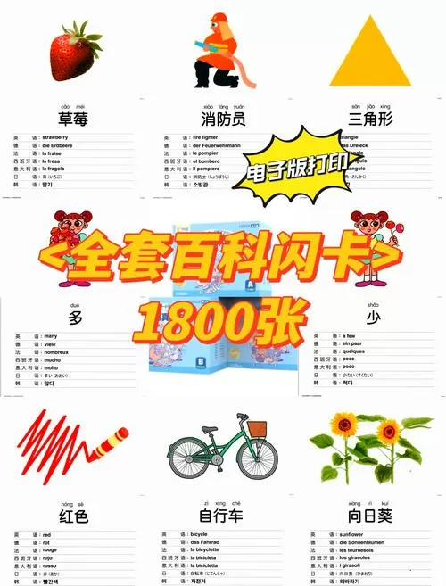 彩色闪卡的使用方法截图