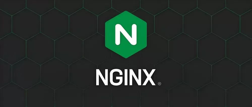 日本nginx软件截图